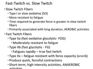 Resisted exercises.ppt