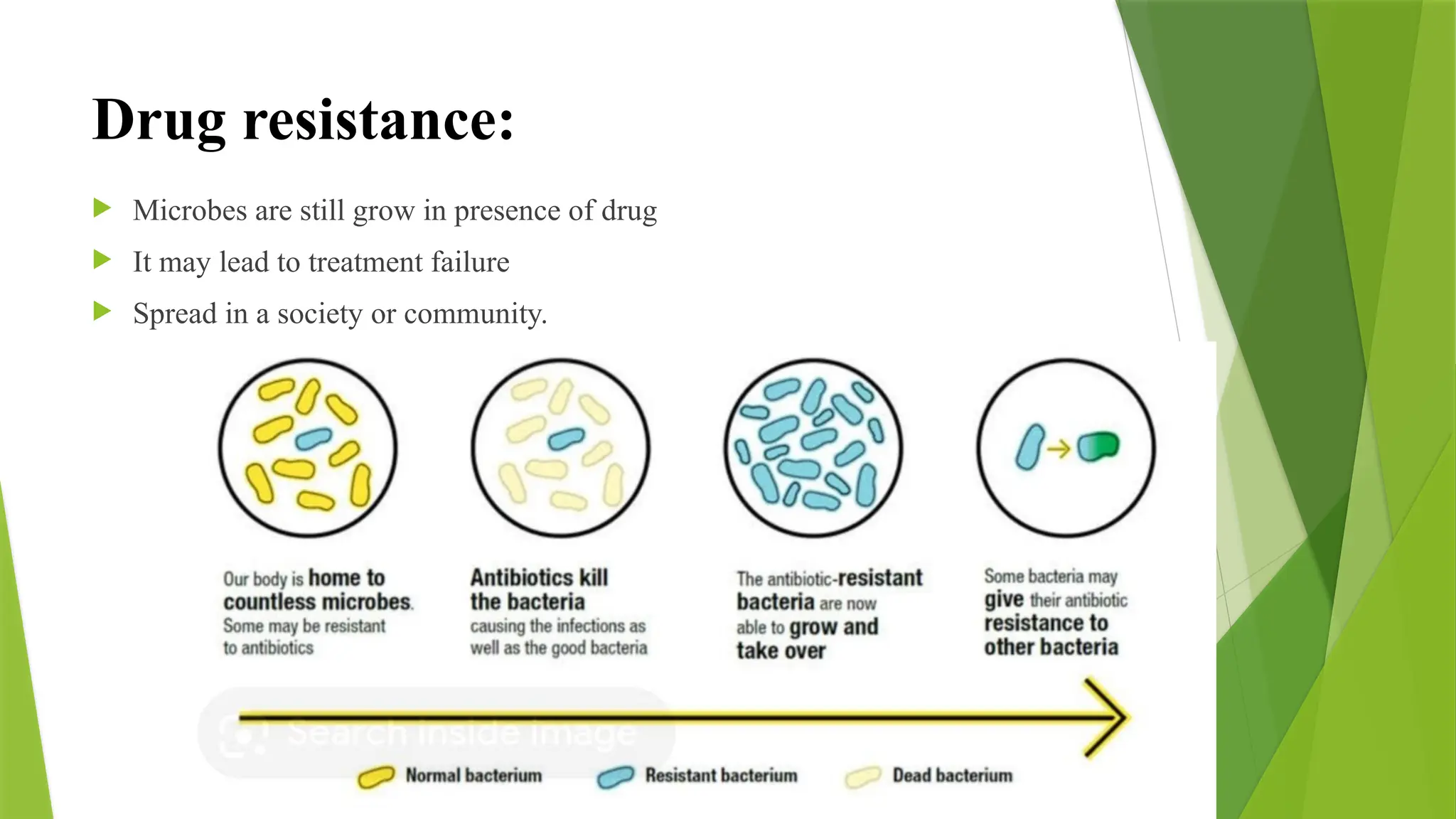 Combinating Drug Resistance and Analog Design.pptx