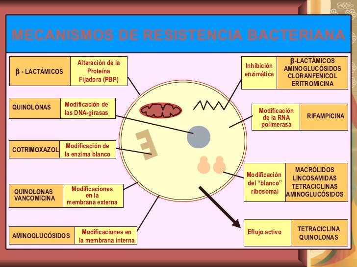 Resistencia bacteriana