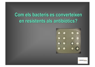 Resistència bacteriana als antibiòtics: què podem fer?Jordi Vila | PPT