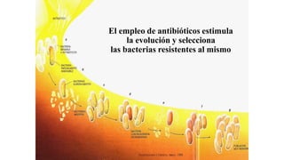resistencia bacteriana.pptx