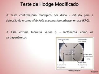 Métodos de detecção de resistência bacteriana aos antimicrobianos em ...