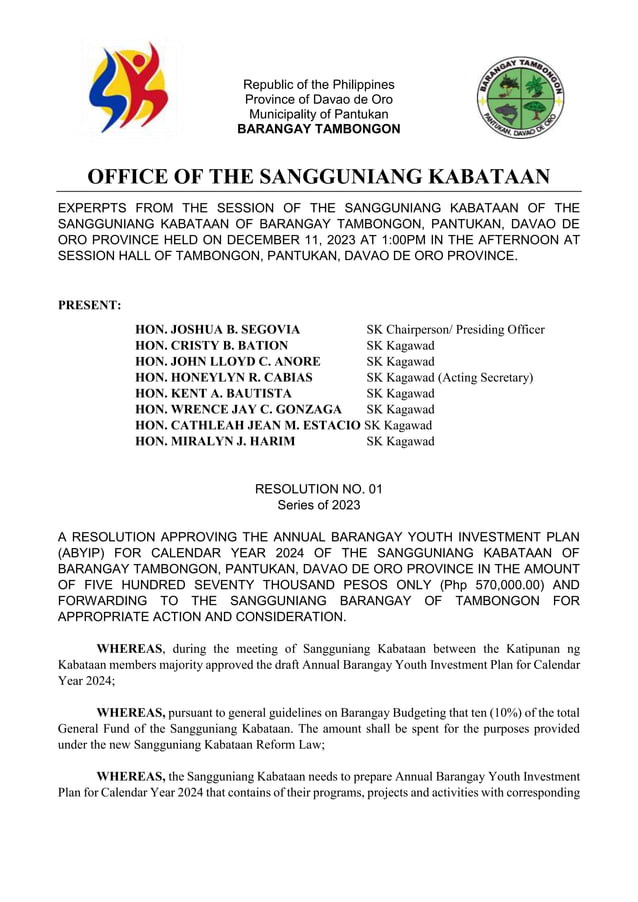 RESOLUTION-FOR-ABYIP-2024-2025. (1).docx | Law