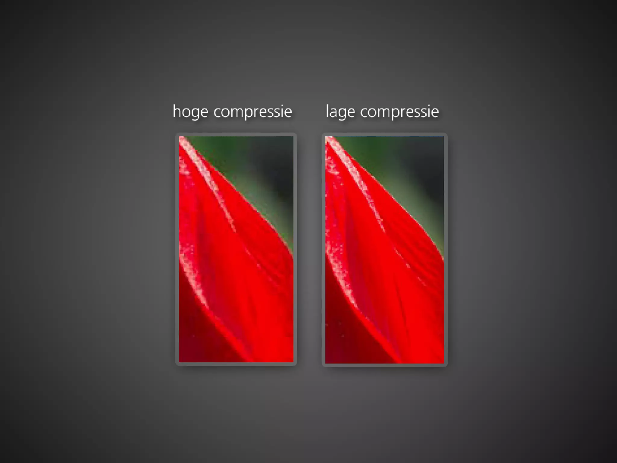 Resolutie en Compressie | PDF