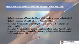 Resolution plan with Sample formats | PPTX