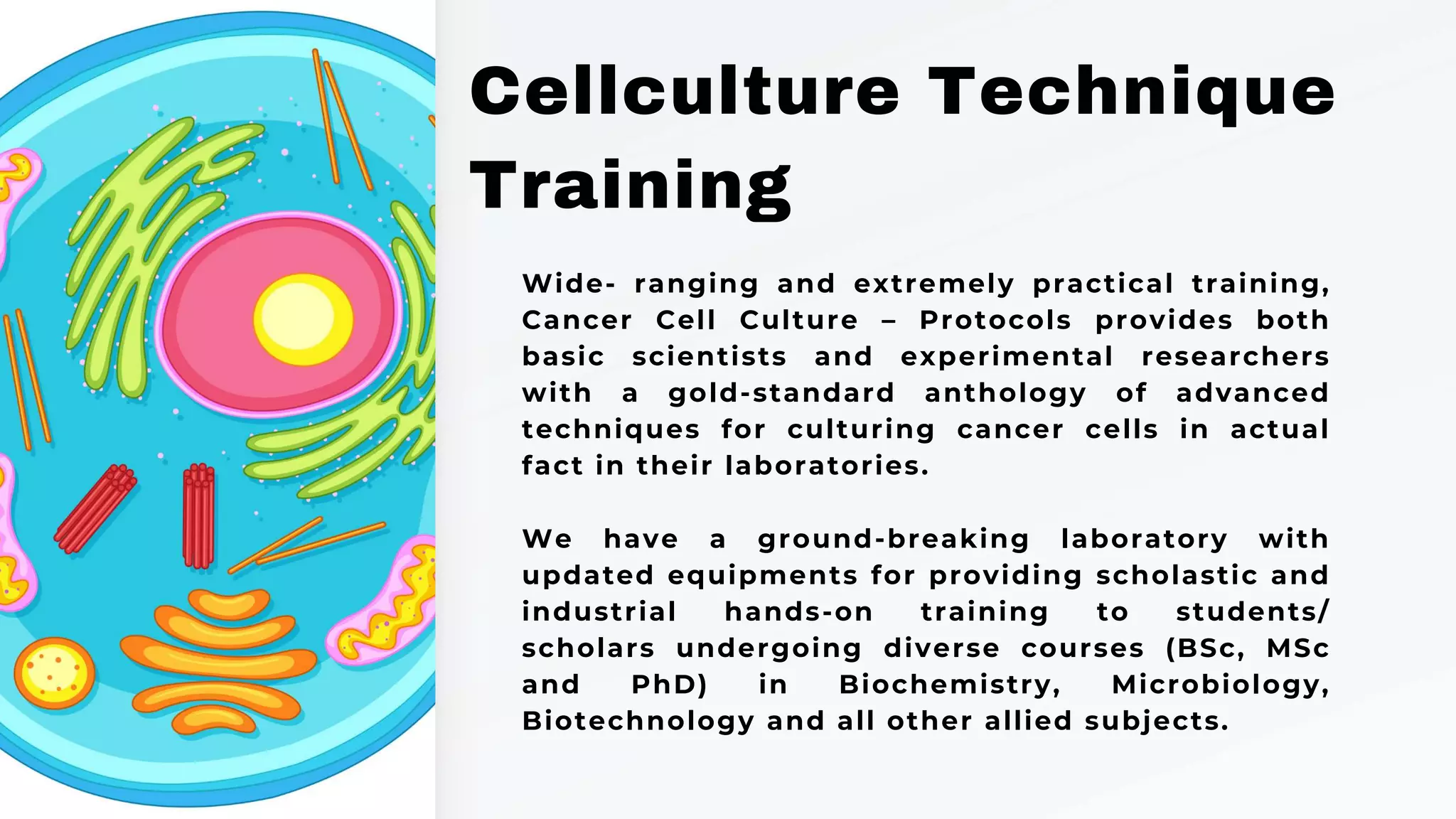 Cellculture Training | PPTX