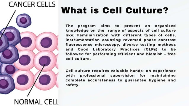 Cellculture Training | PPT