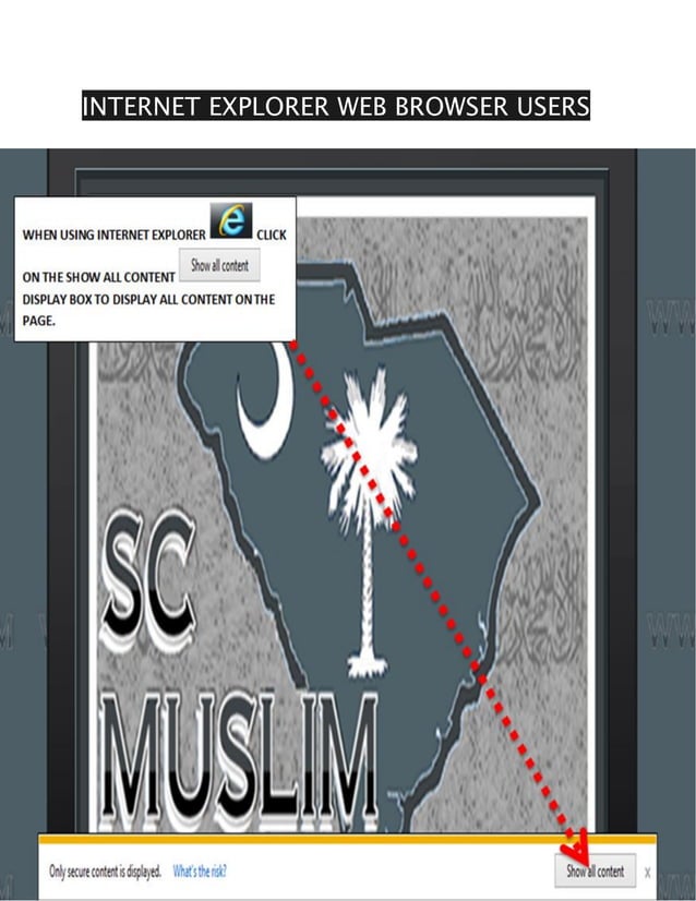 Resolving internet browser issues | PDF | Browsers | Computer Software and Applications