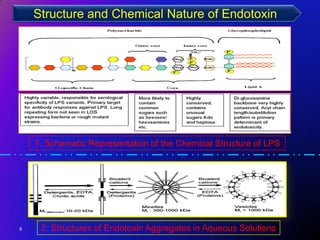 Resolving LAL Test Interference Problems For Accurate Detection of ...