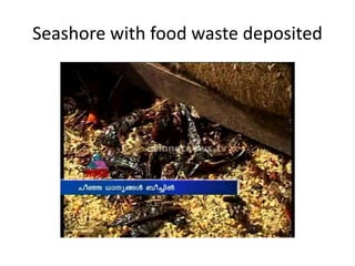 Resolving waste management problem in a beach | PPT