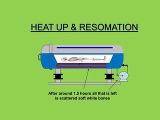 Resomation cycle slides | PPTX