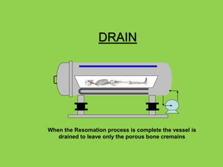 Resomation cycle slides | PPTX