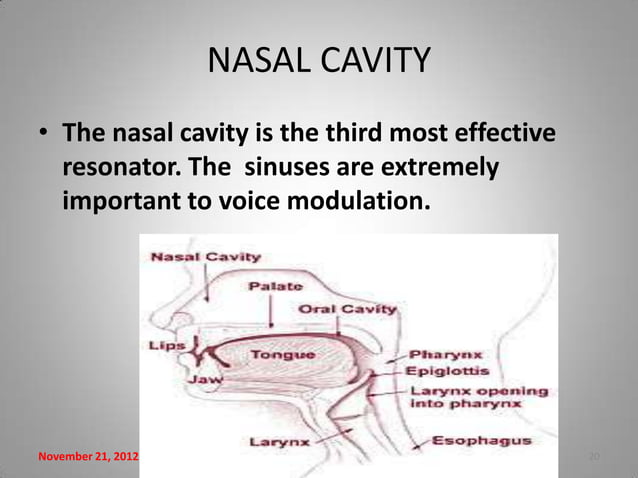 Resonators | PPTX | Ear, Nose and Throat Conditions | Diseases and ...