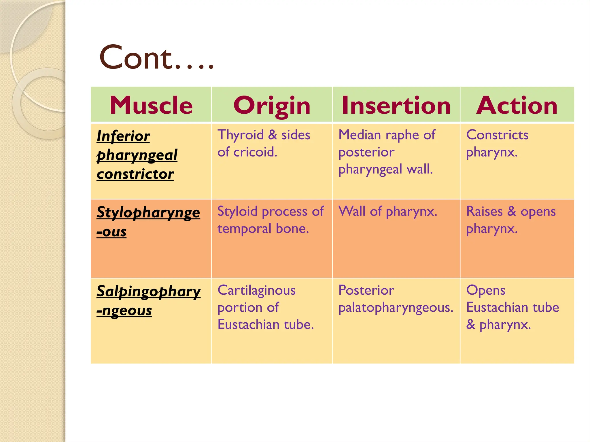 resonatory system along with structure and function | PPT
