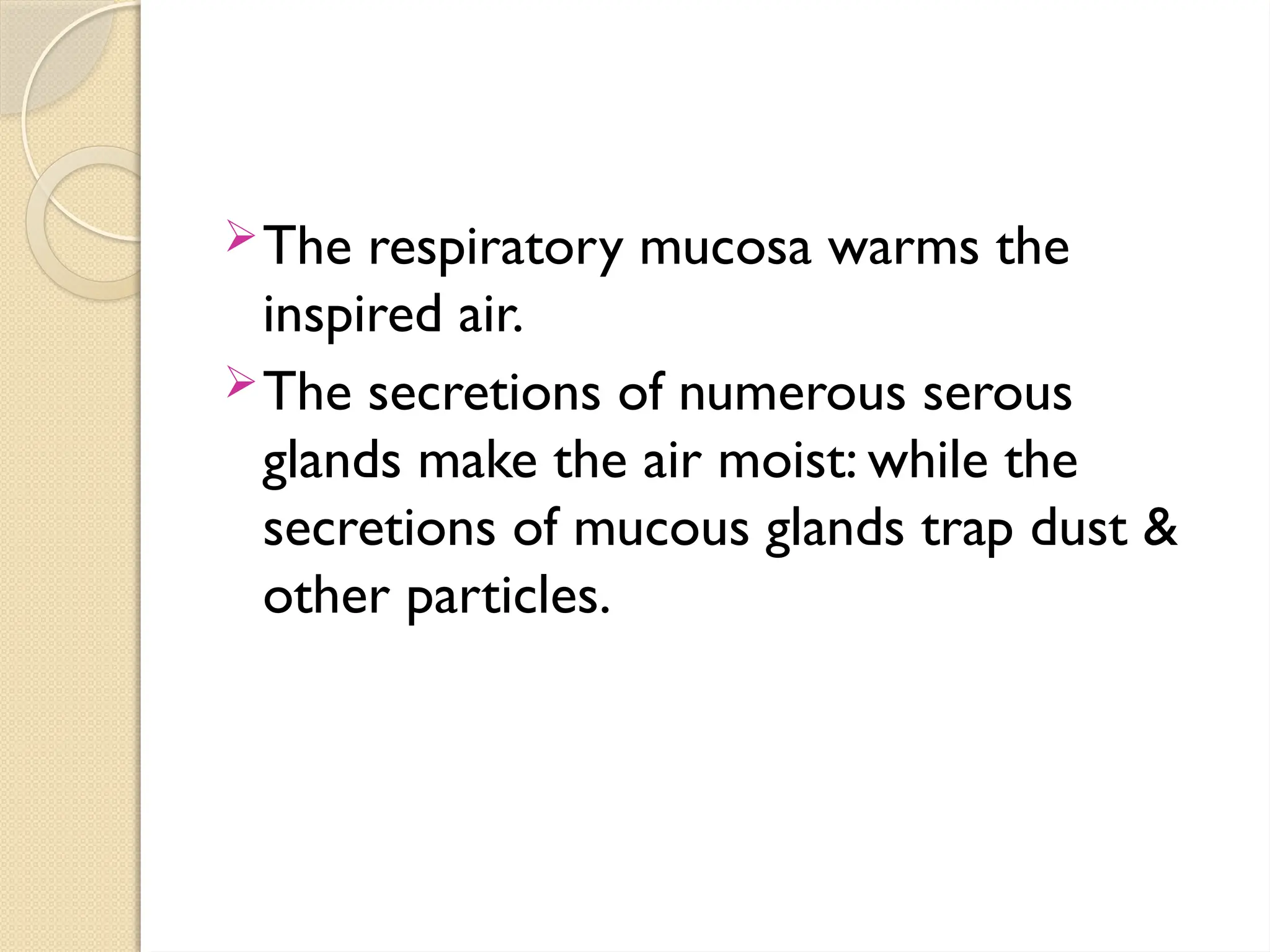 resonatory system along with structure and function | PPT