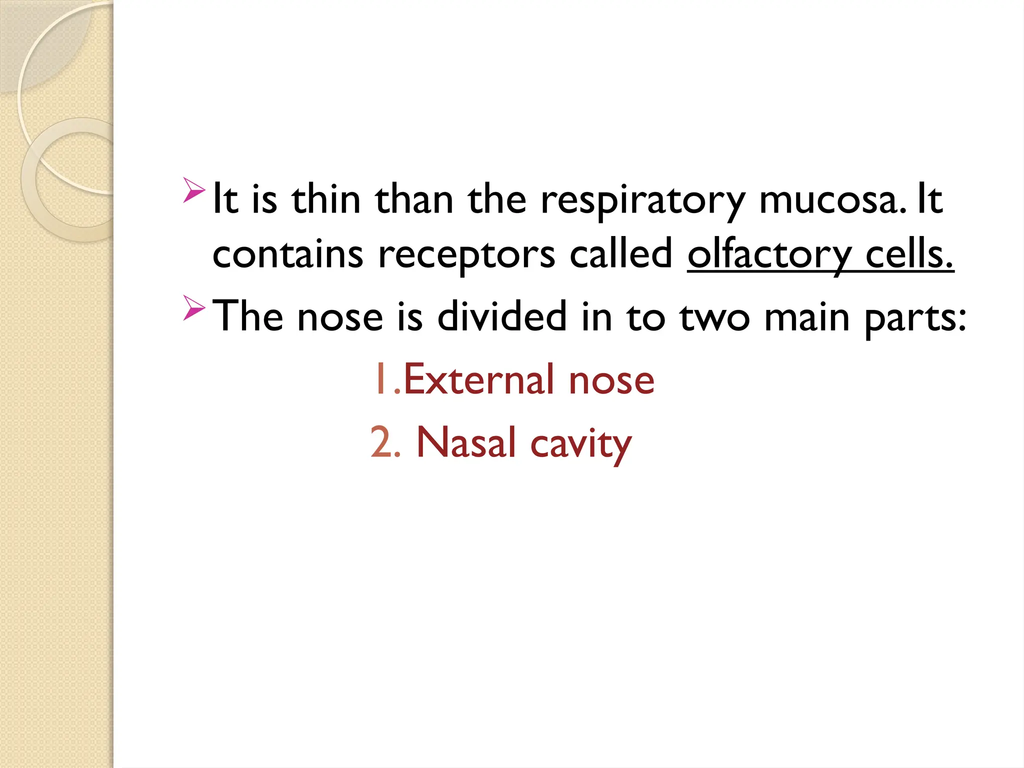 resonatory system along with structure and function | PPTX