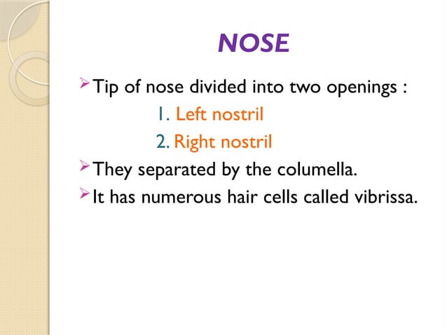 resonatory system along with structure and function | PPT