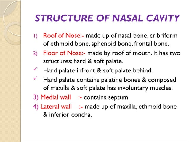 resonatory system along with structure and function | PPT
