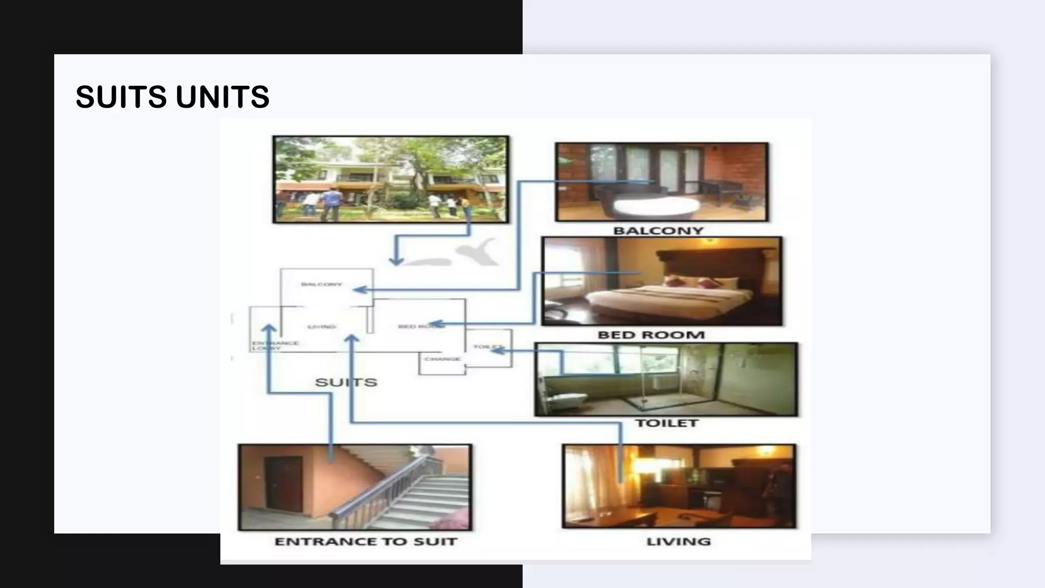 Resort case study | PDF