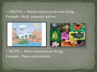 Resource 160611052355 | PPT