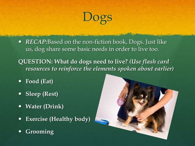 Model/Guided Writing Task | PPTX