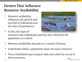 Resource Availability in Ecosystems.pptx