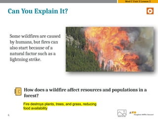 Resource Availability in Ecosystems.pptx