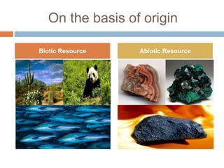 Resource: Concept and Classification | PPTX