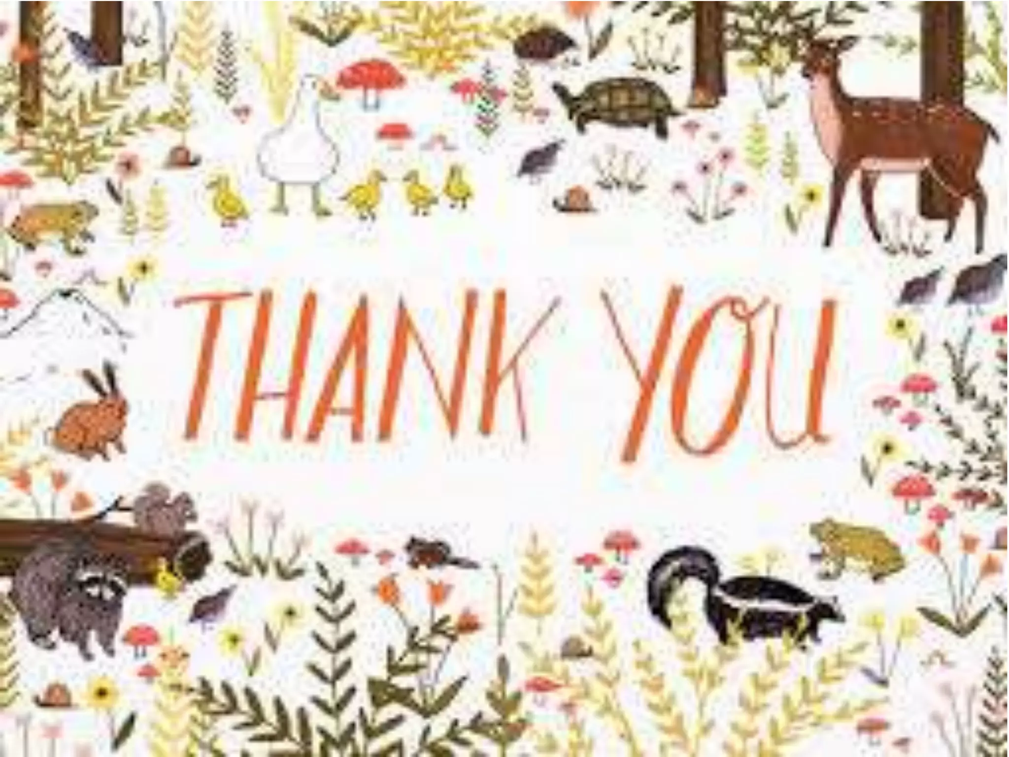 Natural Resource Conflicts.pptx