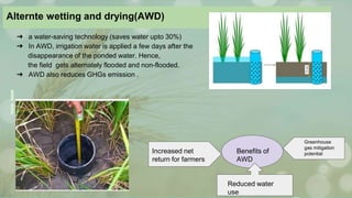 Resource conservation techniques_in_rice_wheat_cropping_system | PPTX