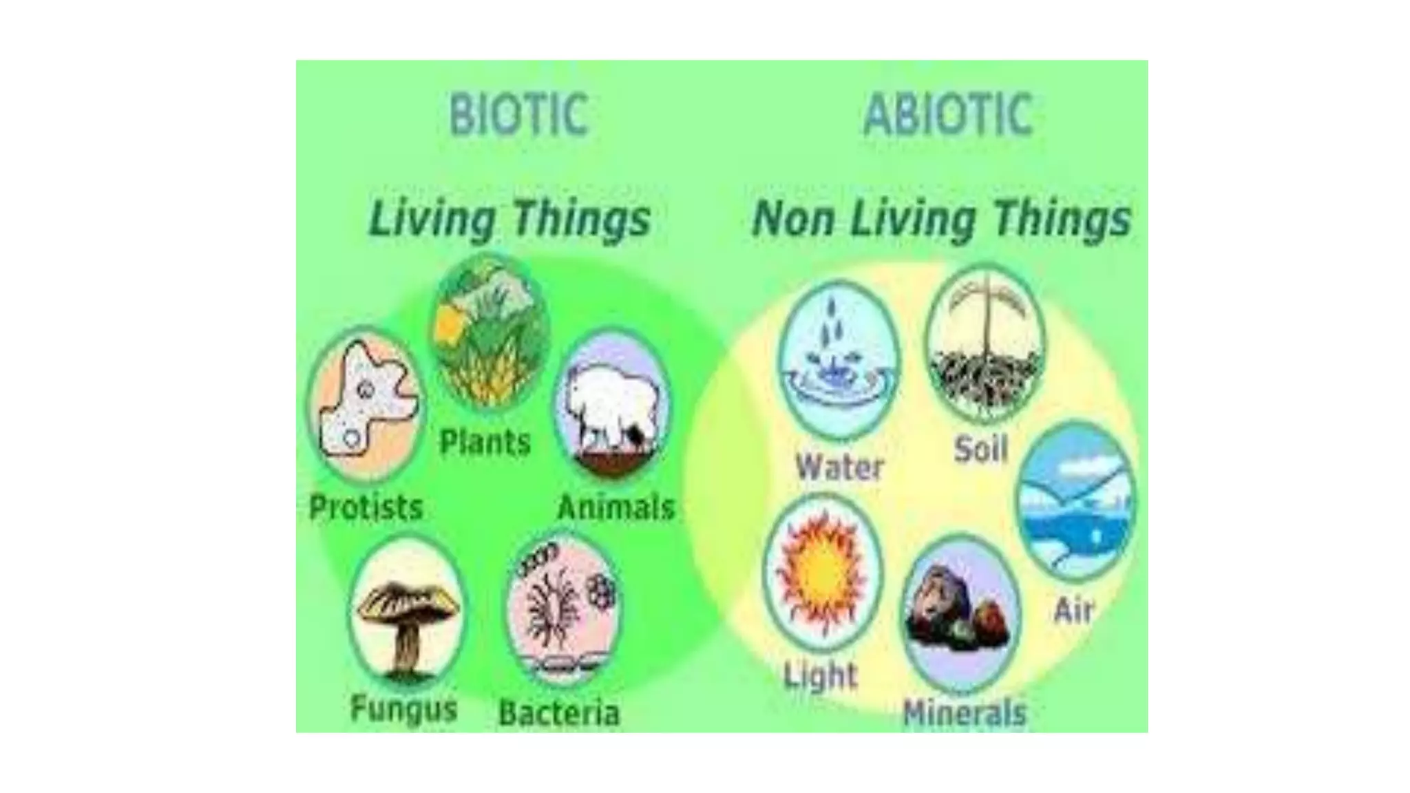 Chapter 1-Resources- Class 8-NCERT- Geography | PPTX