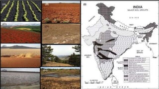 RESOURCES AND DEVELOPMENT PPT | PPTX