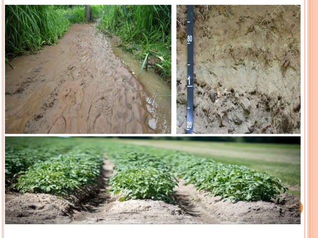 Resources and development, class 10 th geography by Vidit. | PPTX