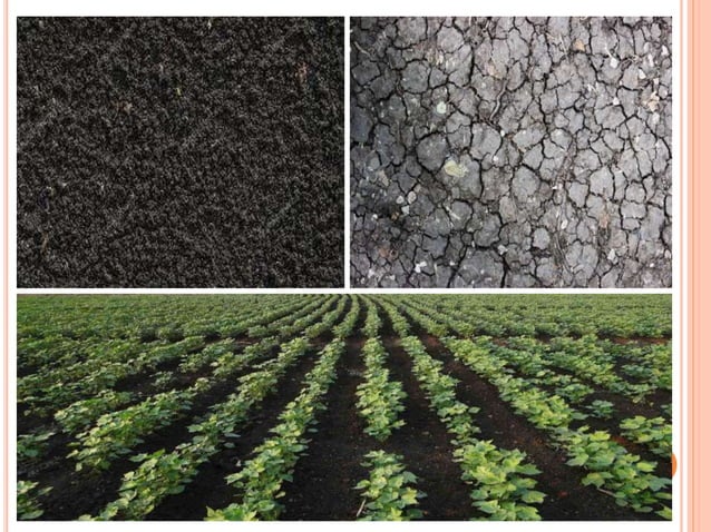 Resources and development, class 10 th geography by Vidit. | PPTX