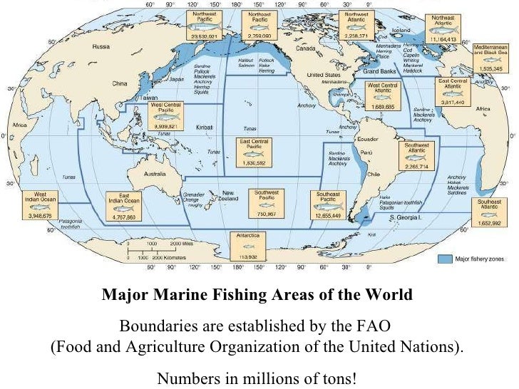 Resources from sea notes