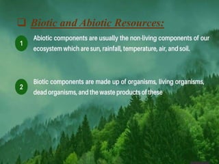 Resources Management (1).pptx