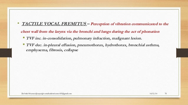 Vocal Fremitus