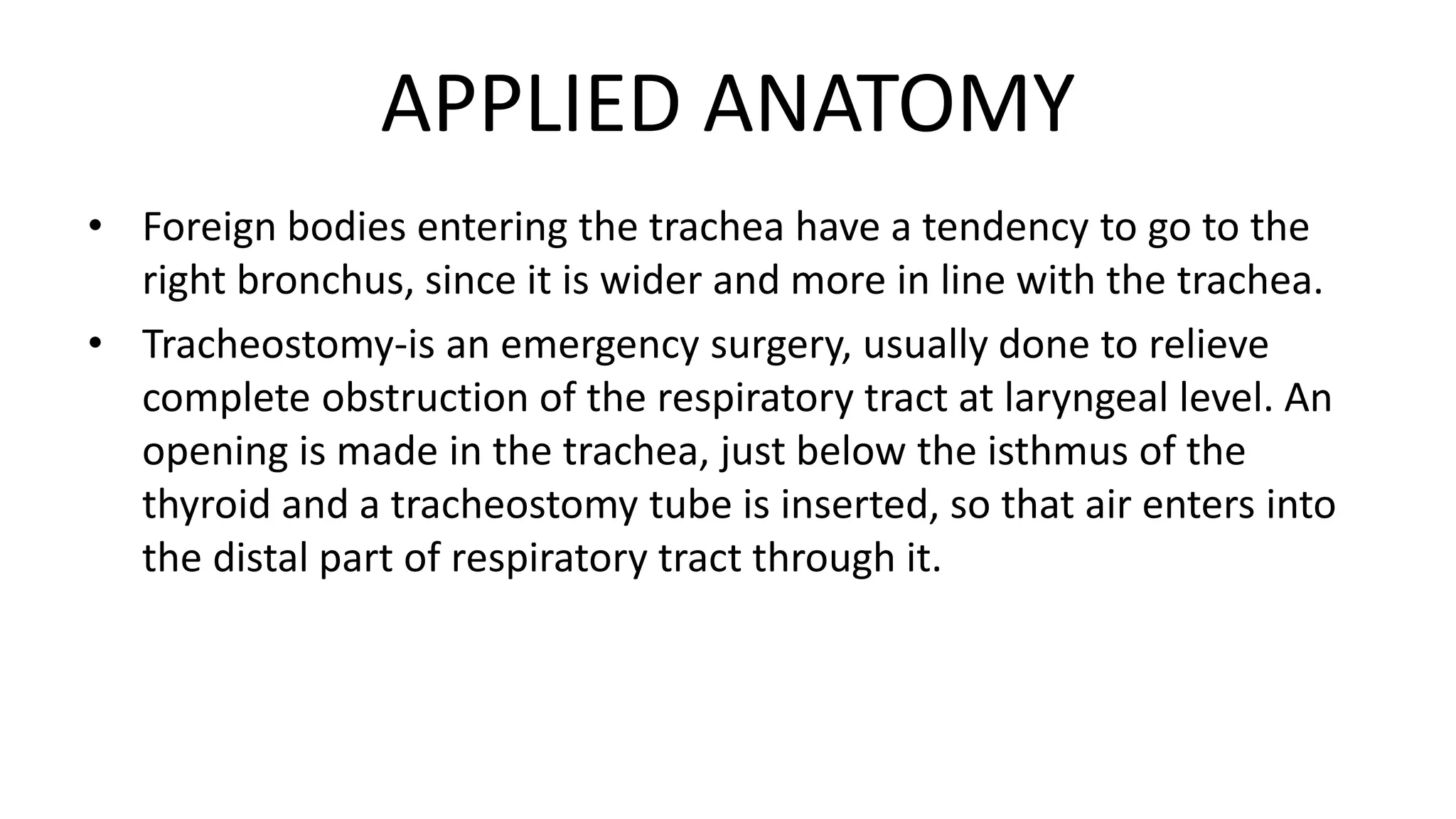 Respiratory .System. . pdf bsc nursing b | PDF