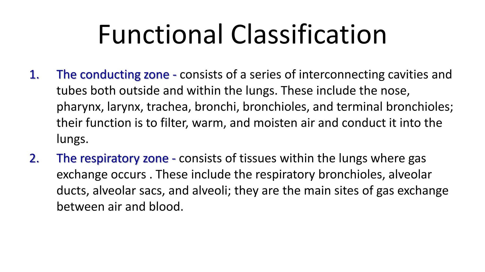 Respiratory .System. . pdf bsc nursing b | PDF