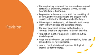 respiration in human beings and also their effects | PPT | Free Download