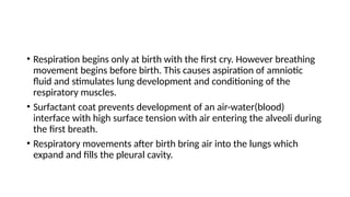 The embryology of the Respiratory System revised.pptx