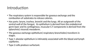 The embryology of the Respiratory System revised.pptx