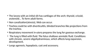 The embryology of the Respiratory System revised.pptx