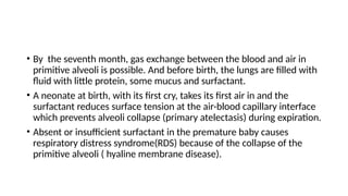 The embryology of the Respiratory System revised.pptx