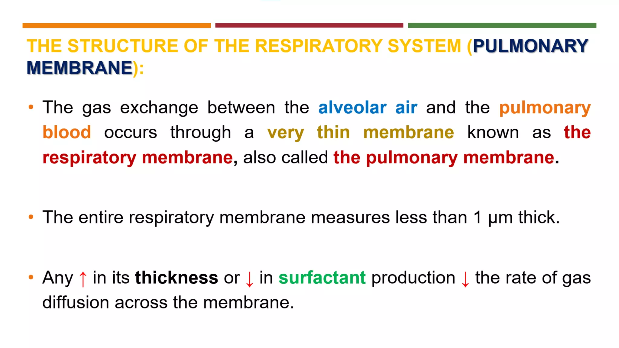 Physiology of Respiratory System: Introduction | PPTX
