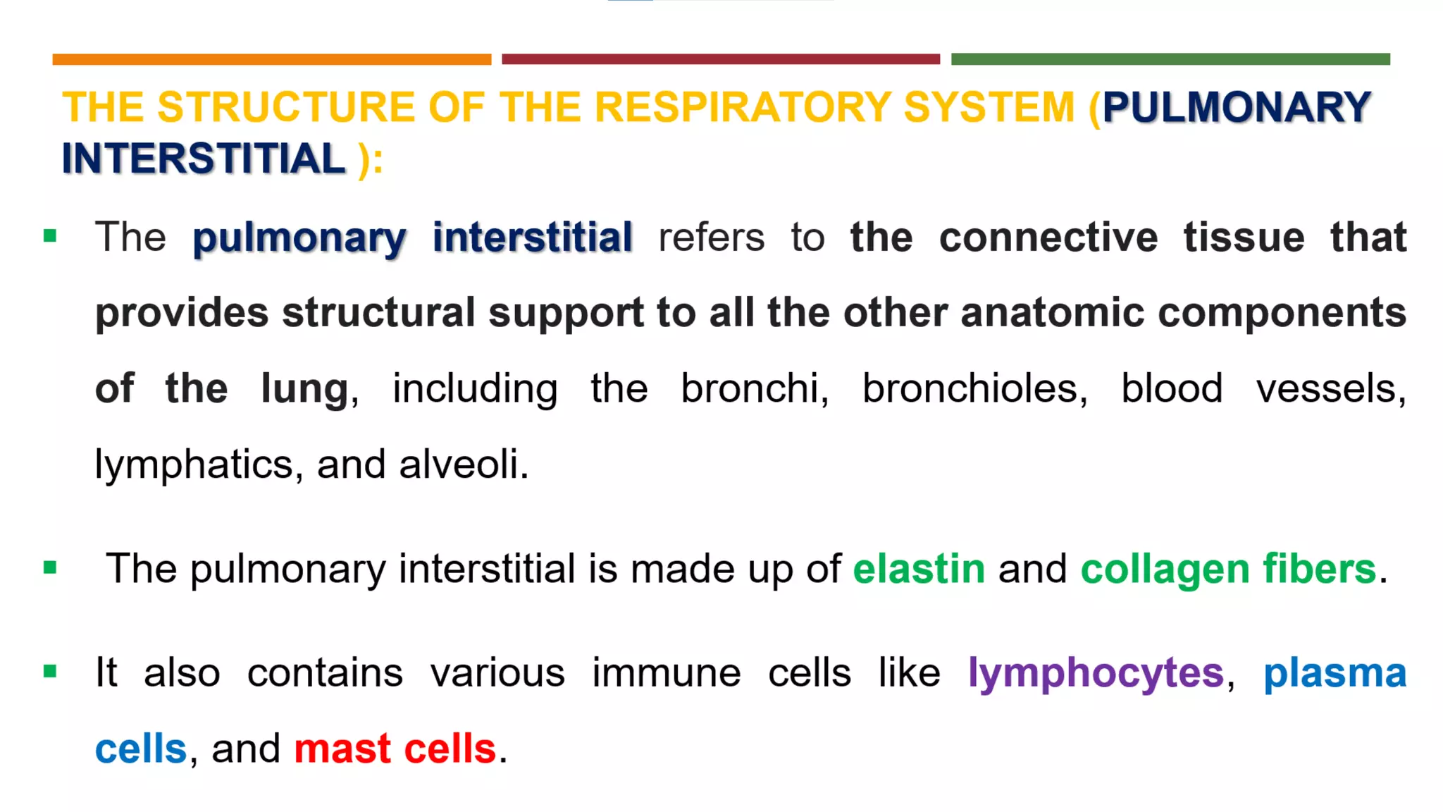 Physiology of Respiratory System: Introduction | PPTX
