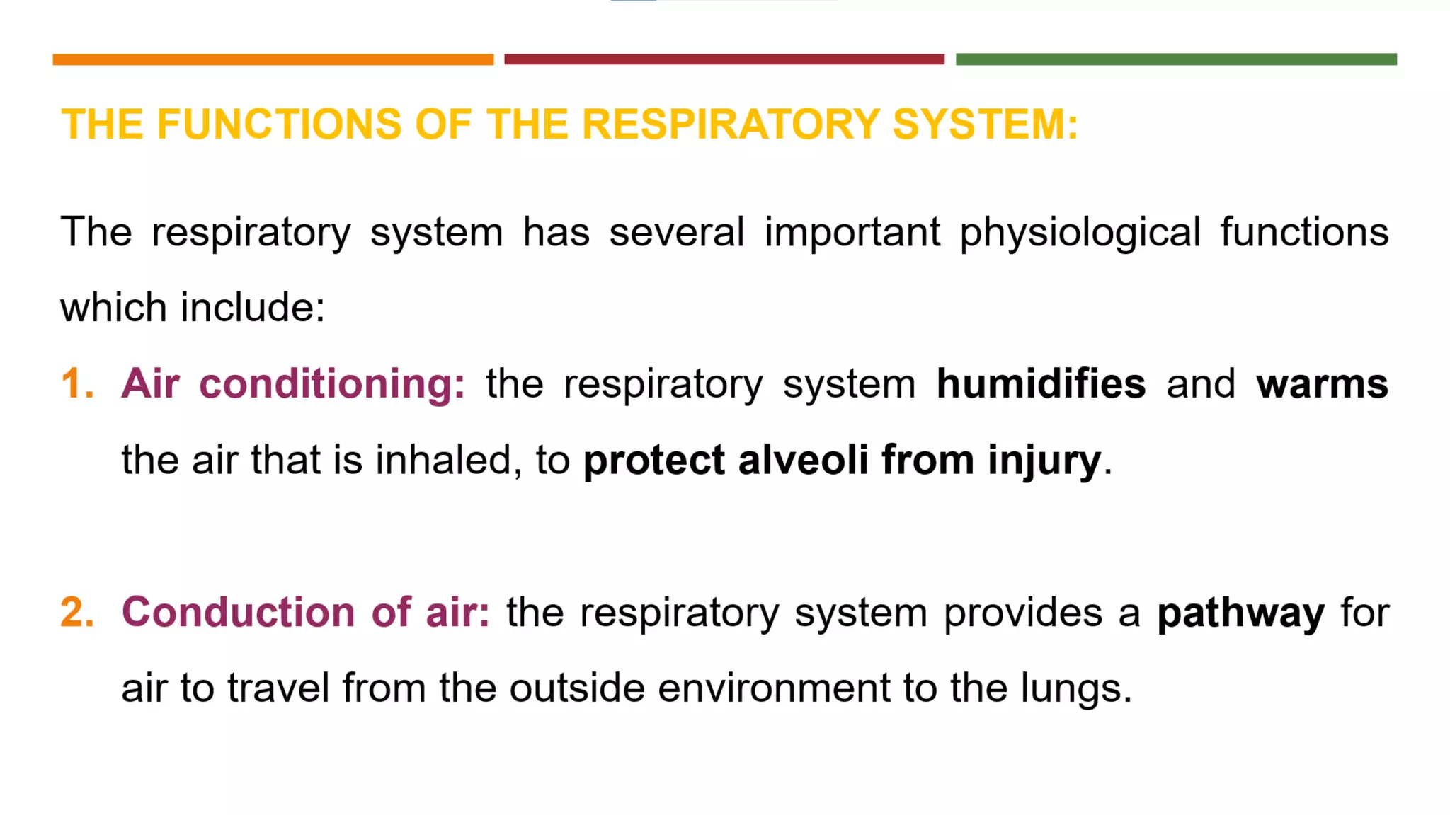 Physiology of Respiratory System: Introduction | PPTX