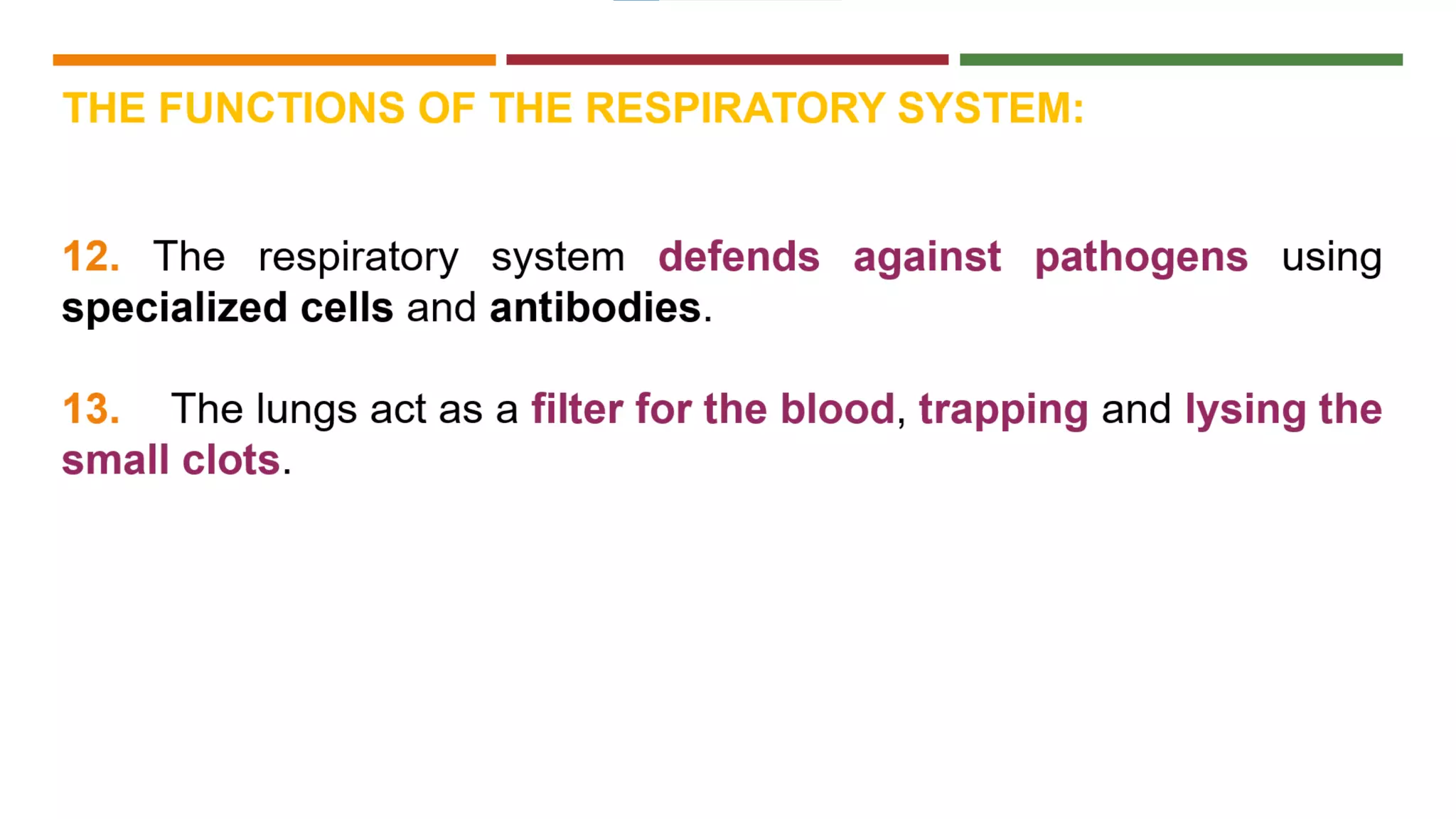 Physiology of Respiratory System: Introduction | PPTX