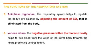 Physiology of Respiratory System: Introduction | PPTX