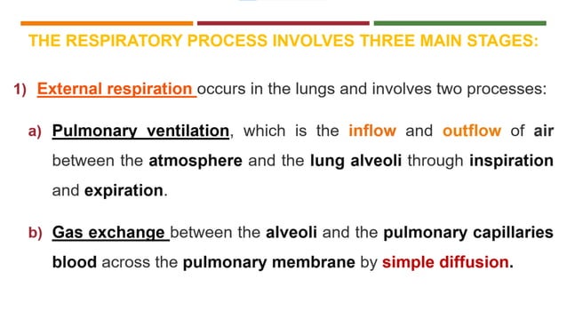 Physiology of Respiratory System: Introduction | PPTX